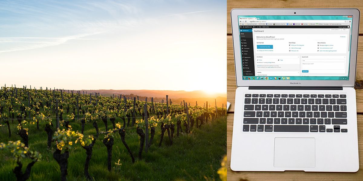 Wine Digital Marketing | Wine Industry Marketing & Web Design